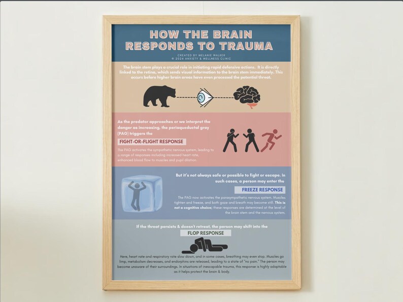 How the Brain Responds to Trauma Therapeutic Handout, Trauma Therapy ...
