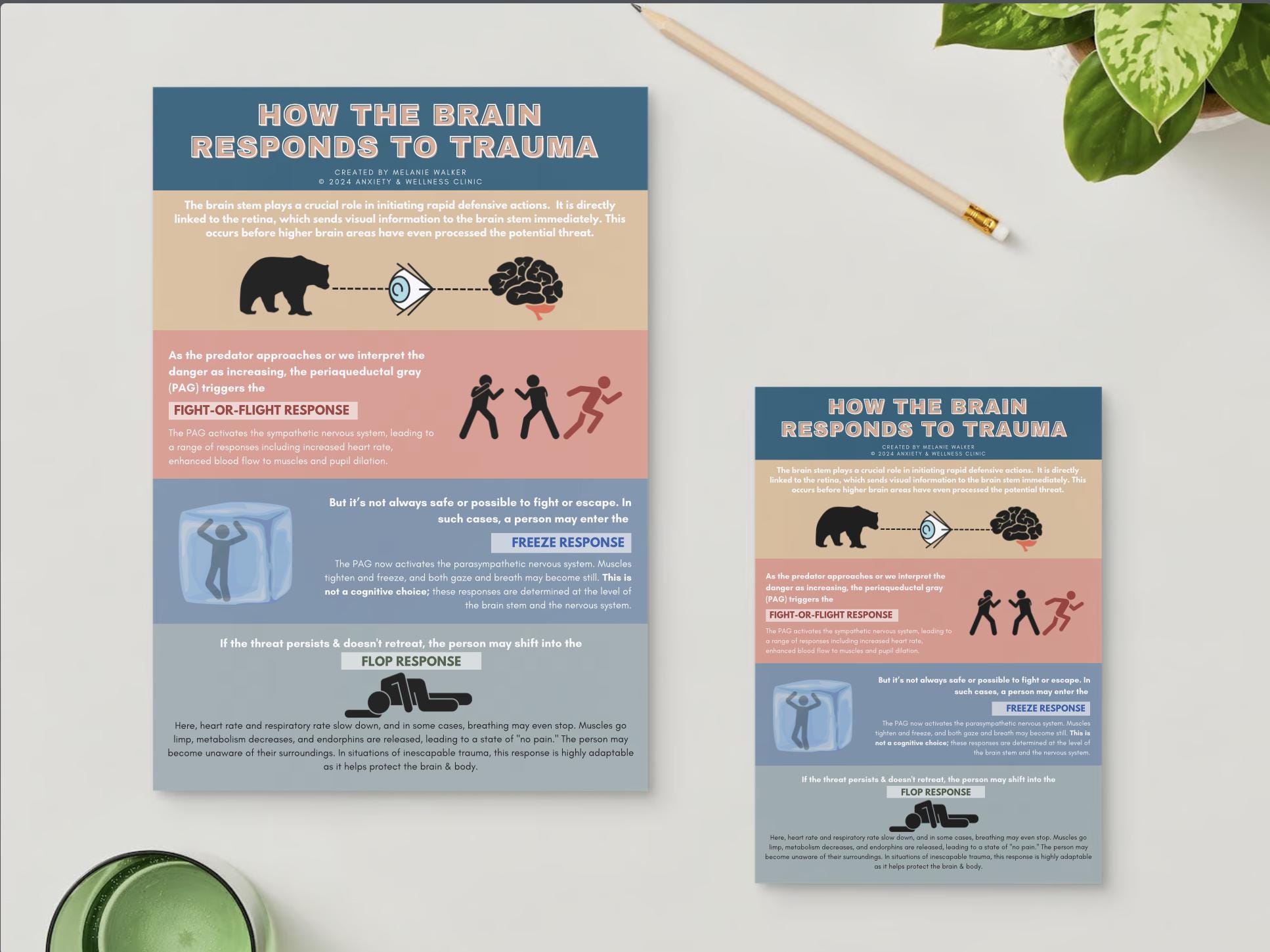 How the Brain Responds to Trauma Therapeutic Handout, Trauma Therapy ...