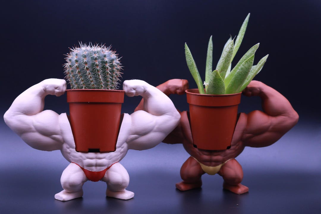 Funny Muscle Planter - Buff Bodybuilder Plant Pot Holder - Gym Decor ...