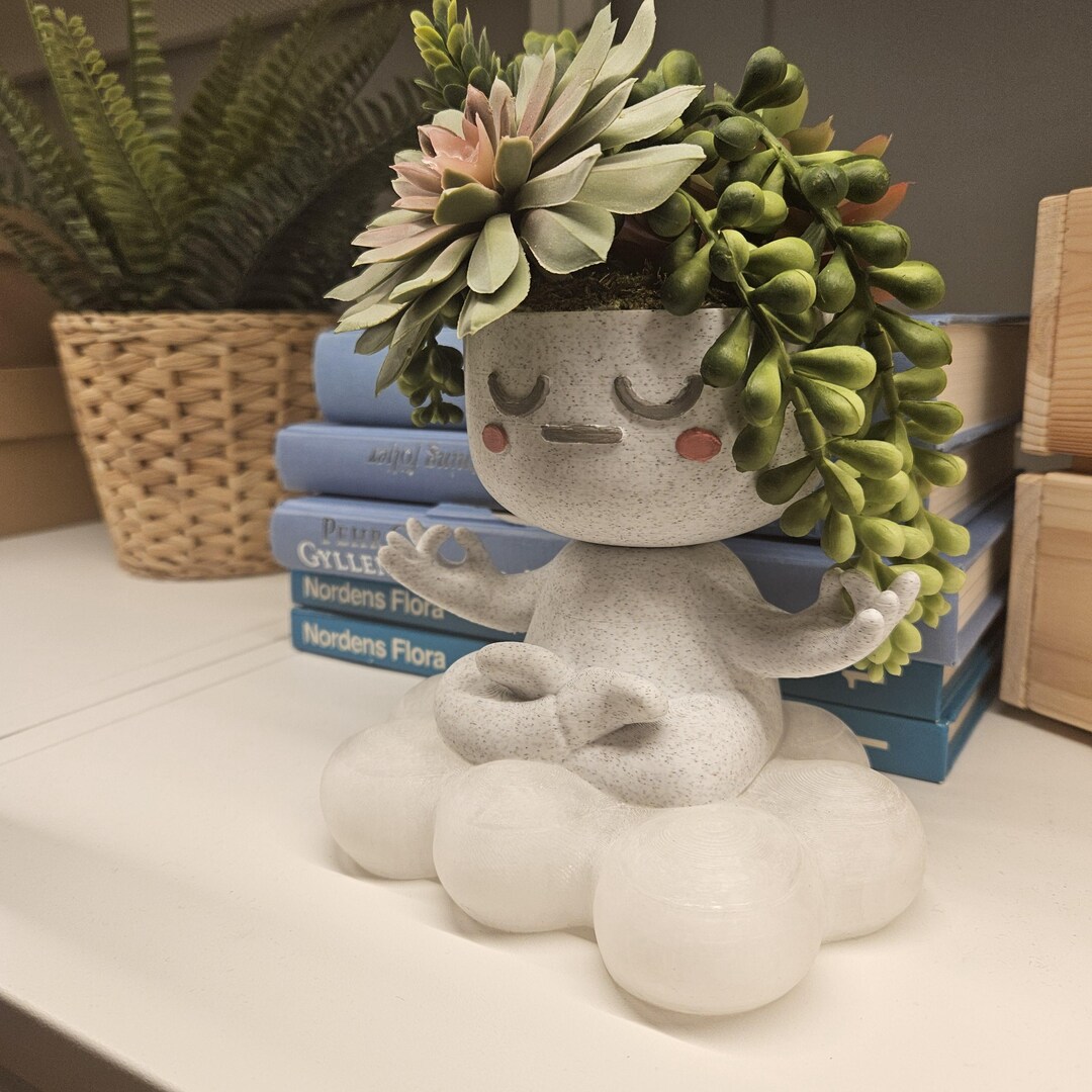 Cute Unique Yoga Gifts, 3D Printed Succulent Planter Pot With Drainage ...