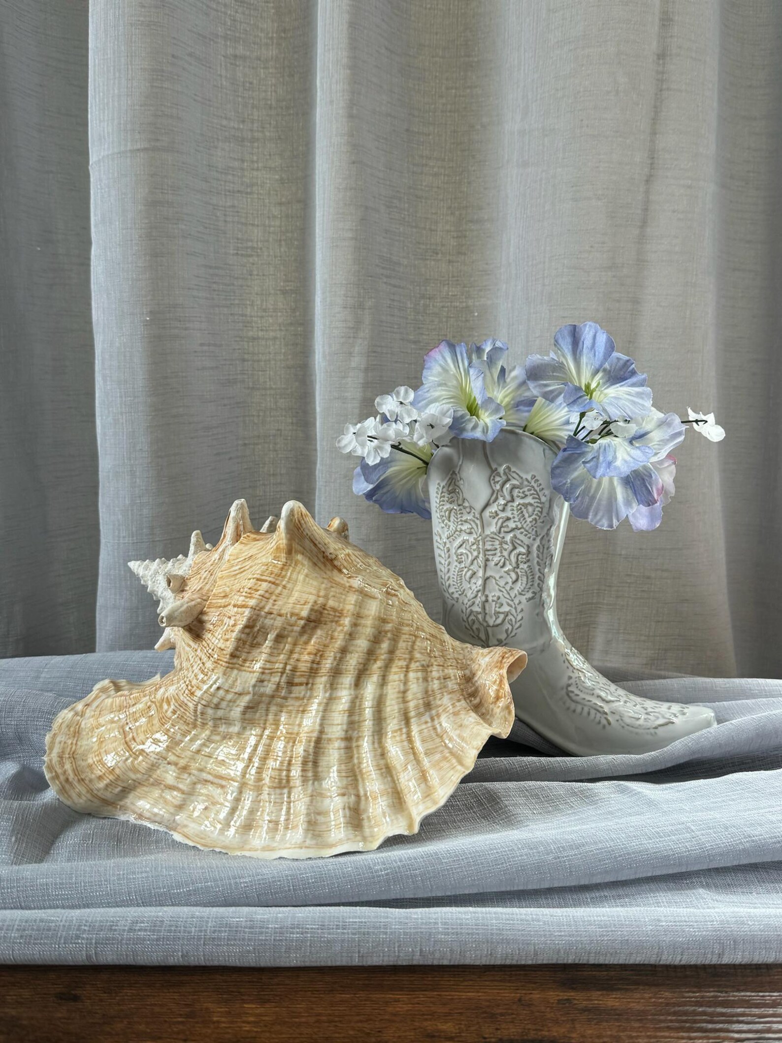 XL Queen Conch Shell - Etsy