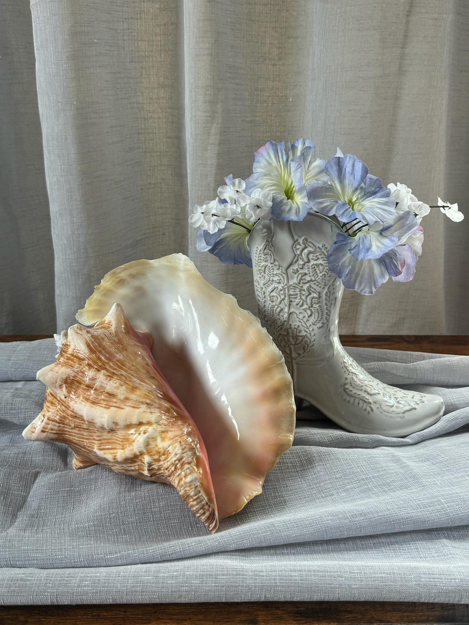 XL Queen Conch Shell - Etsy