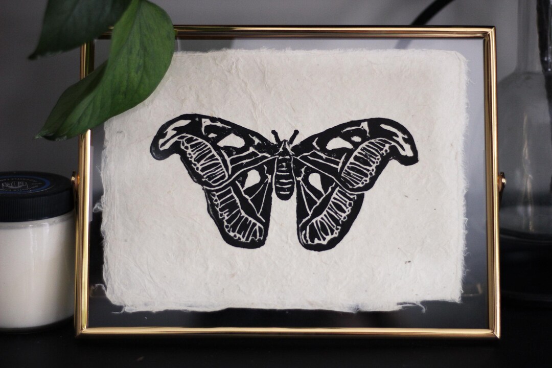 Atlas Moth Linocut Print on Lokta Paper - Handmade Moth Block Print ...