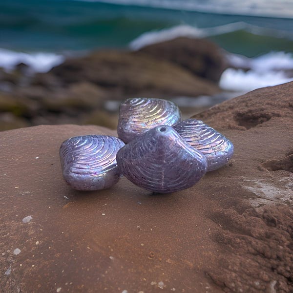 Sea Shells Beads - Etsy