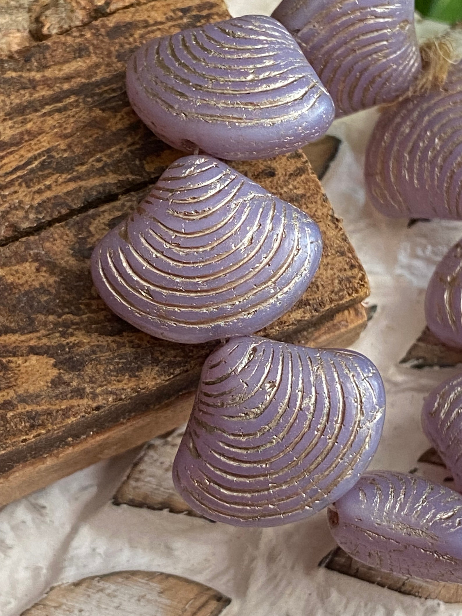 Czech Glass Beads - Shell Beads - Sea Shell Beads - Conch Shell Beads ...
