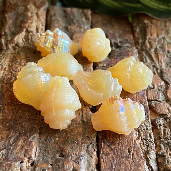 Shell Beads - Etsy