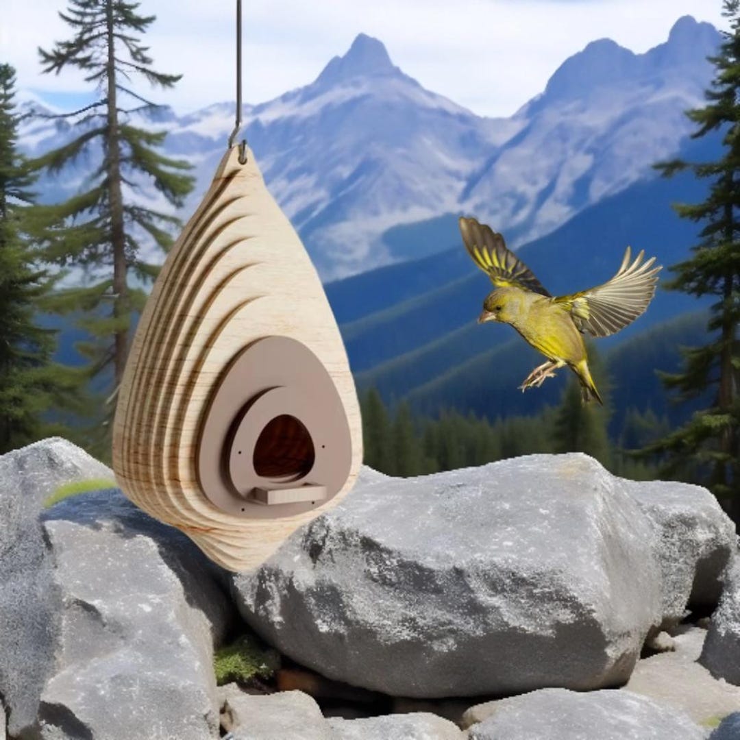 Bird Feeder | Parametric Design | Gift for Nature Lovers - Etsy