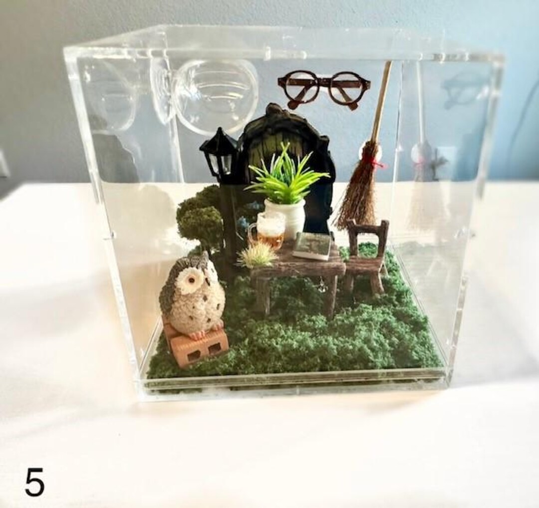 Wizard Jumping Spider Enclosure - Etsy