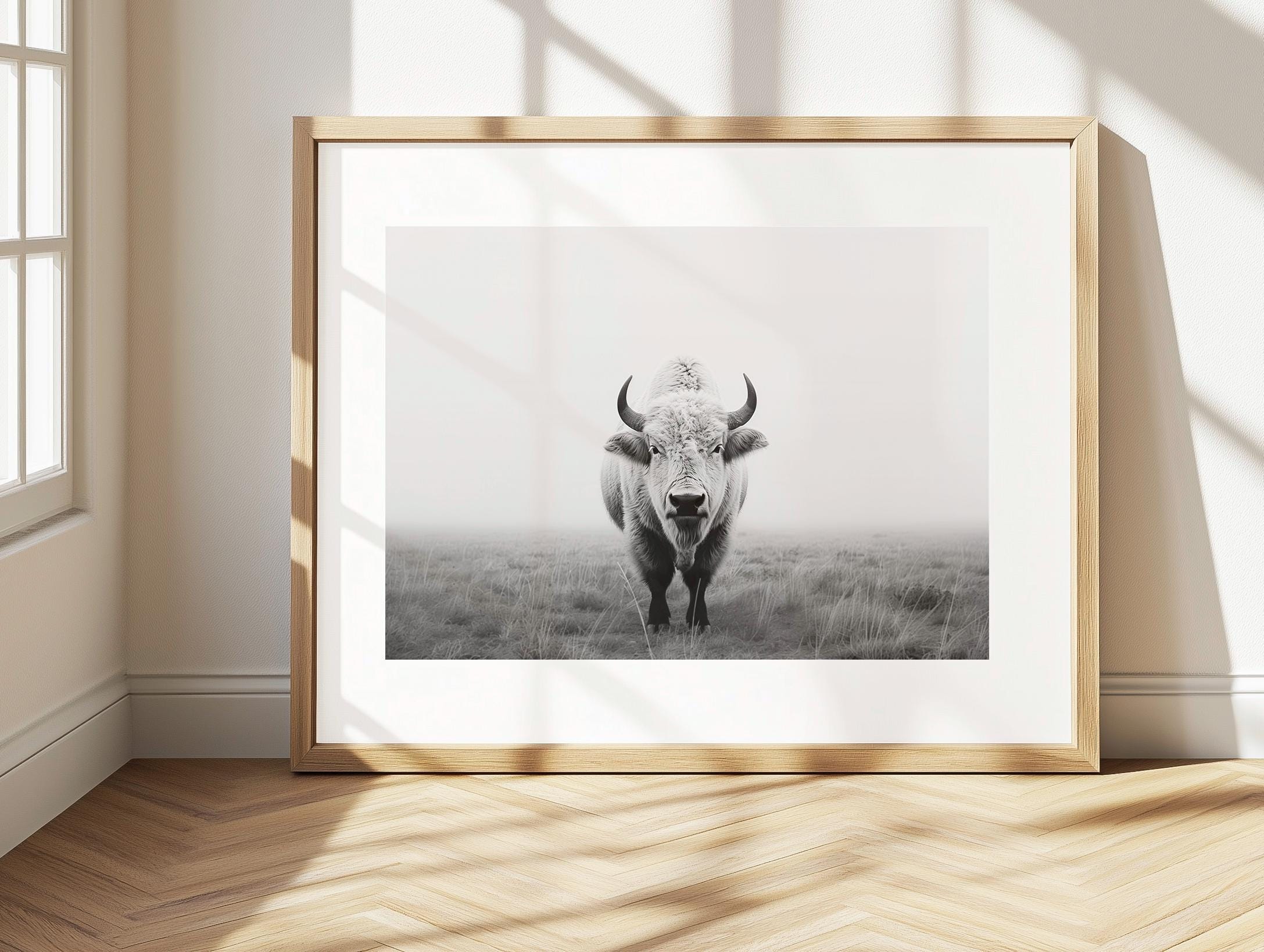 Sacred White Buffalo | Fine Art Photography Print | Black & White - Etsy