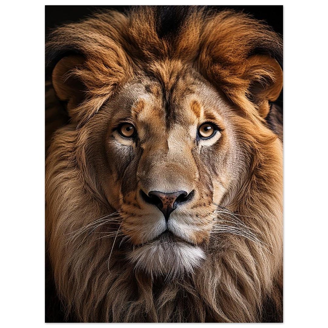 Lion Poster Lion Print Wall Art Lion Art Premium Paper Poster 75x100 - Etsy