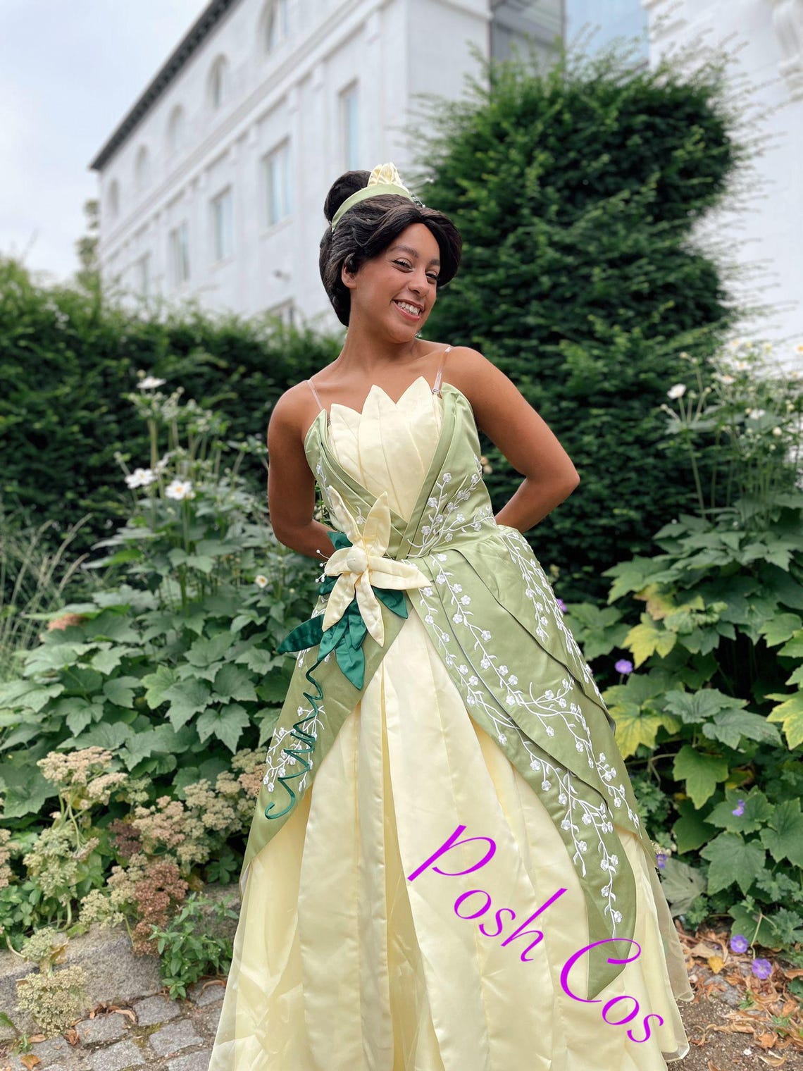 Tiana Costume, Adult Princess Dress, Tiana the Princess and the Frog ...