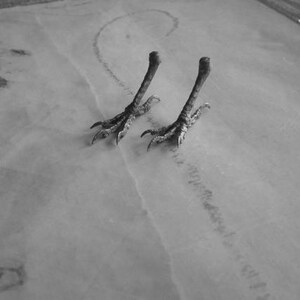 My Little Wren Woodland Bird Feet by Ink Jewelry - Etsy