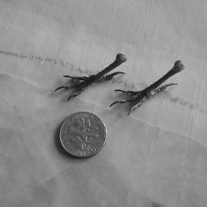 My Little Wren Woodland Bird Feet by Ink Jewelry - Etsy