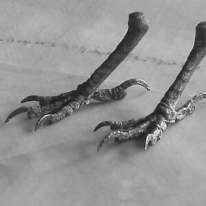 My Little Wren Woodland Bird Feet by Ink Jewelry - Etsy