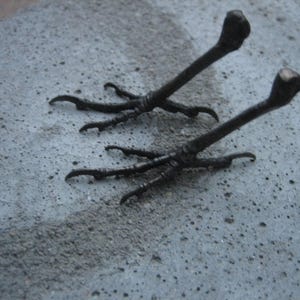 Woodland Crow/blackbird Bronze or Silver Metal Bird Feet Sculptural by ...