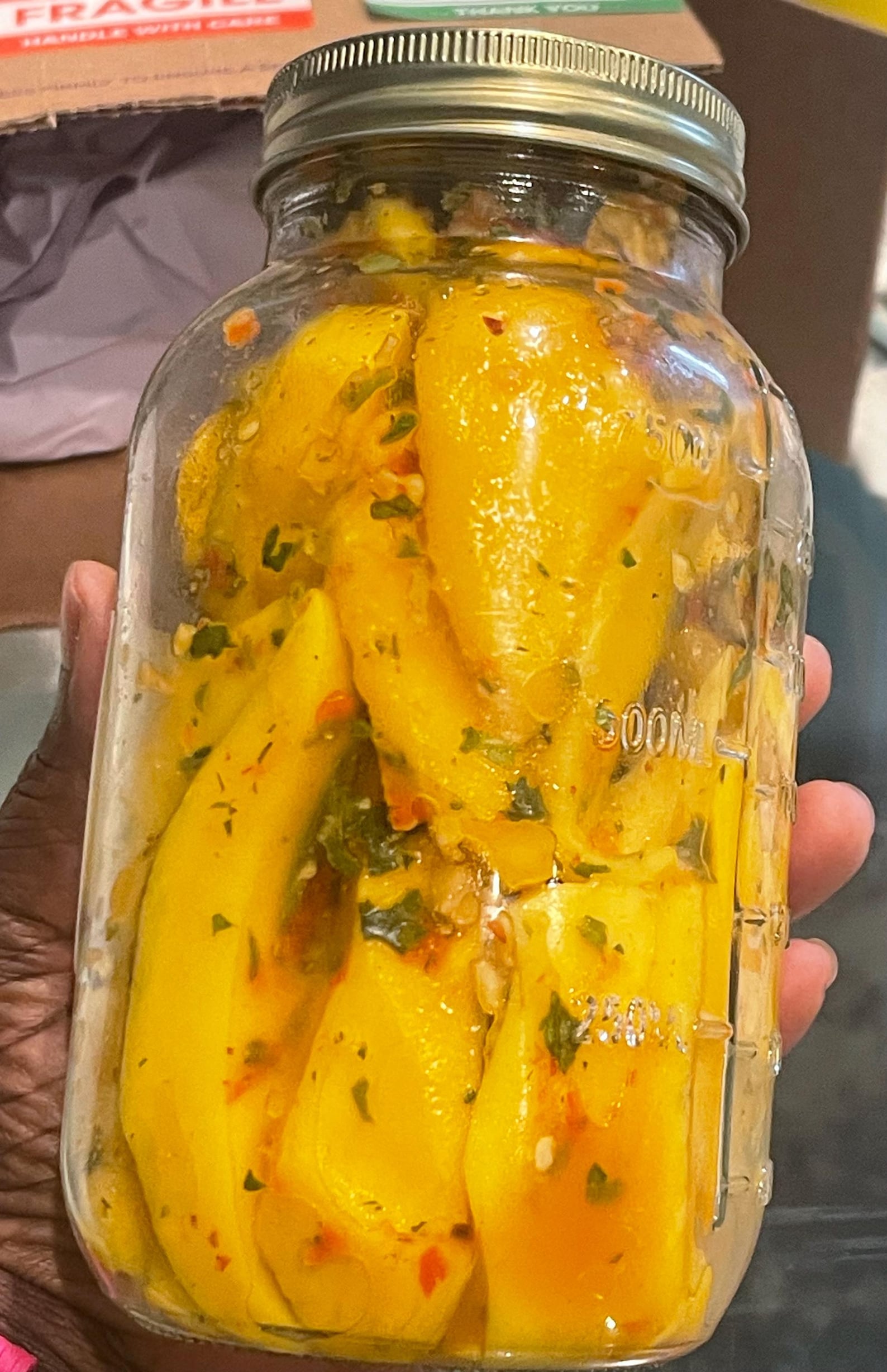 Trinidad & Tobago Mango Chow: Caribbean Street Food Treat - Etsy