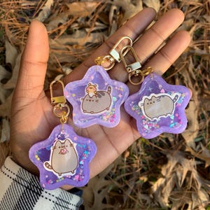 Pusheen Star Shaker Keychain - Etsy