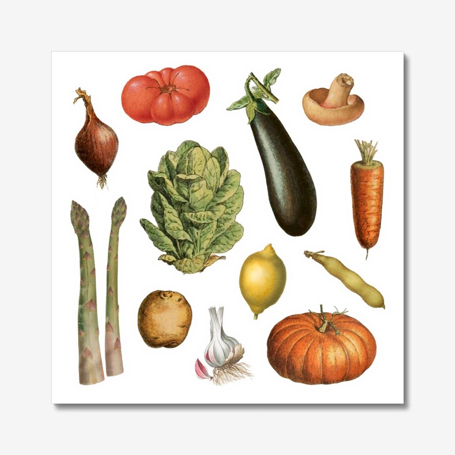 Vegetables Sticker Sheet for Laptop, Journal, Waterbottle, Scrapbooking ...