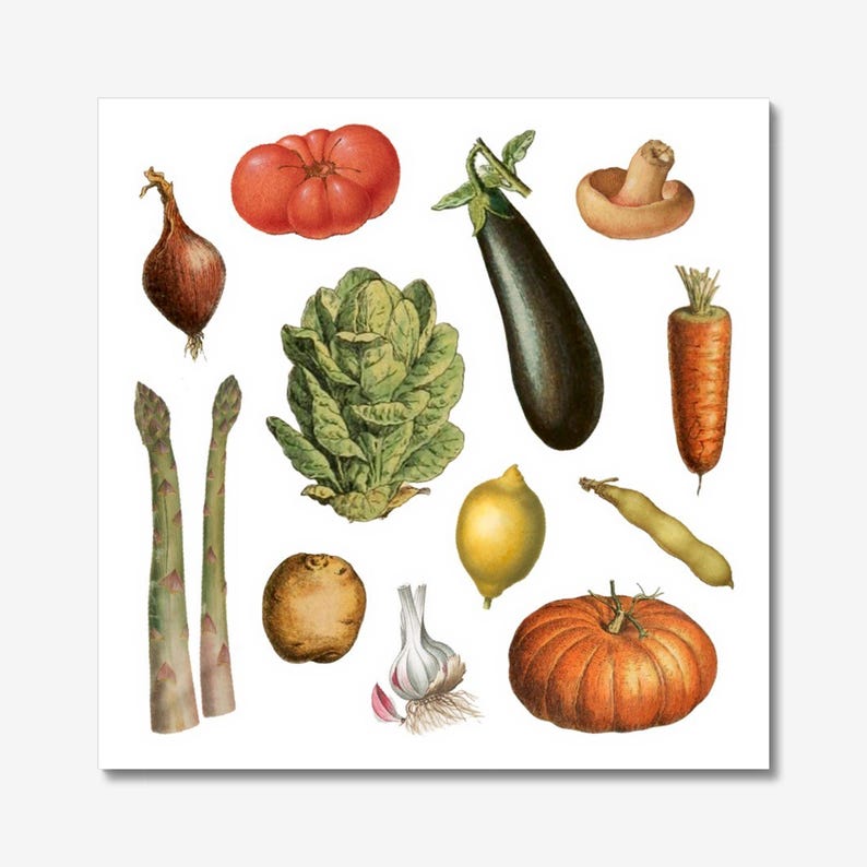 Vegetables Sticker Sheet for Laptop, Journal, Waterbottle, Scrapbooking ...