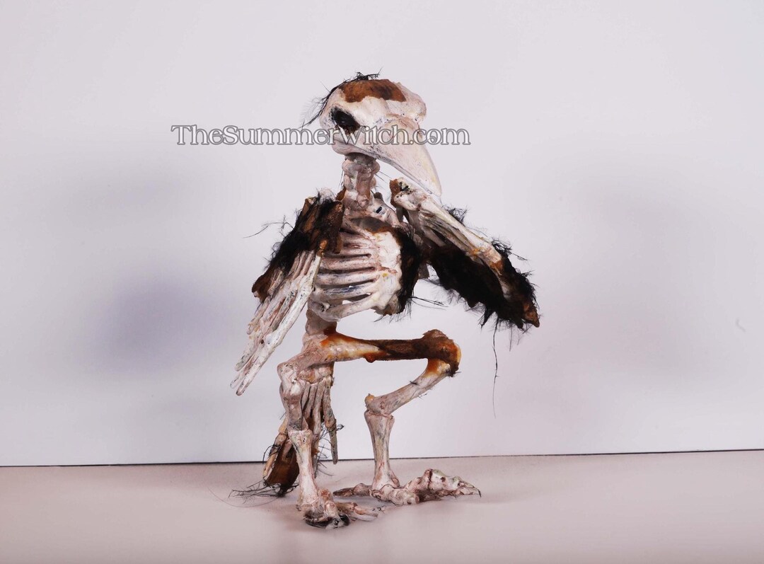 Fake Zombie Crow Decoration or Prop - Etsy
