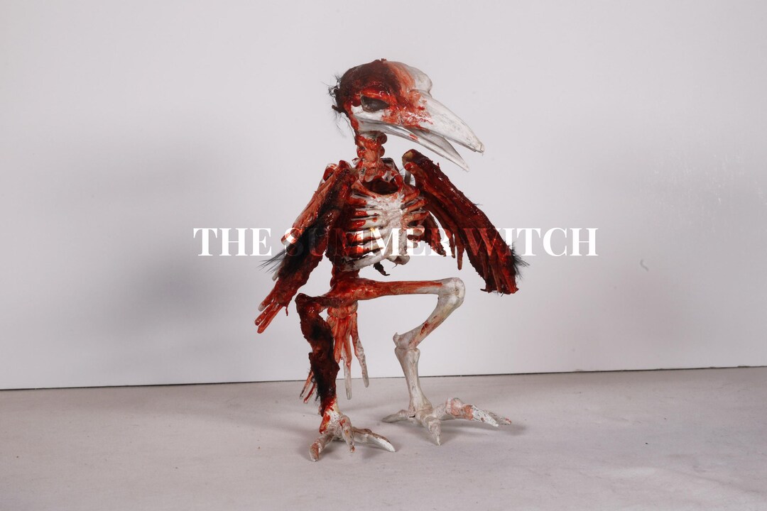 Fake Zombie Crow Decoration or Prop - Etsy