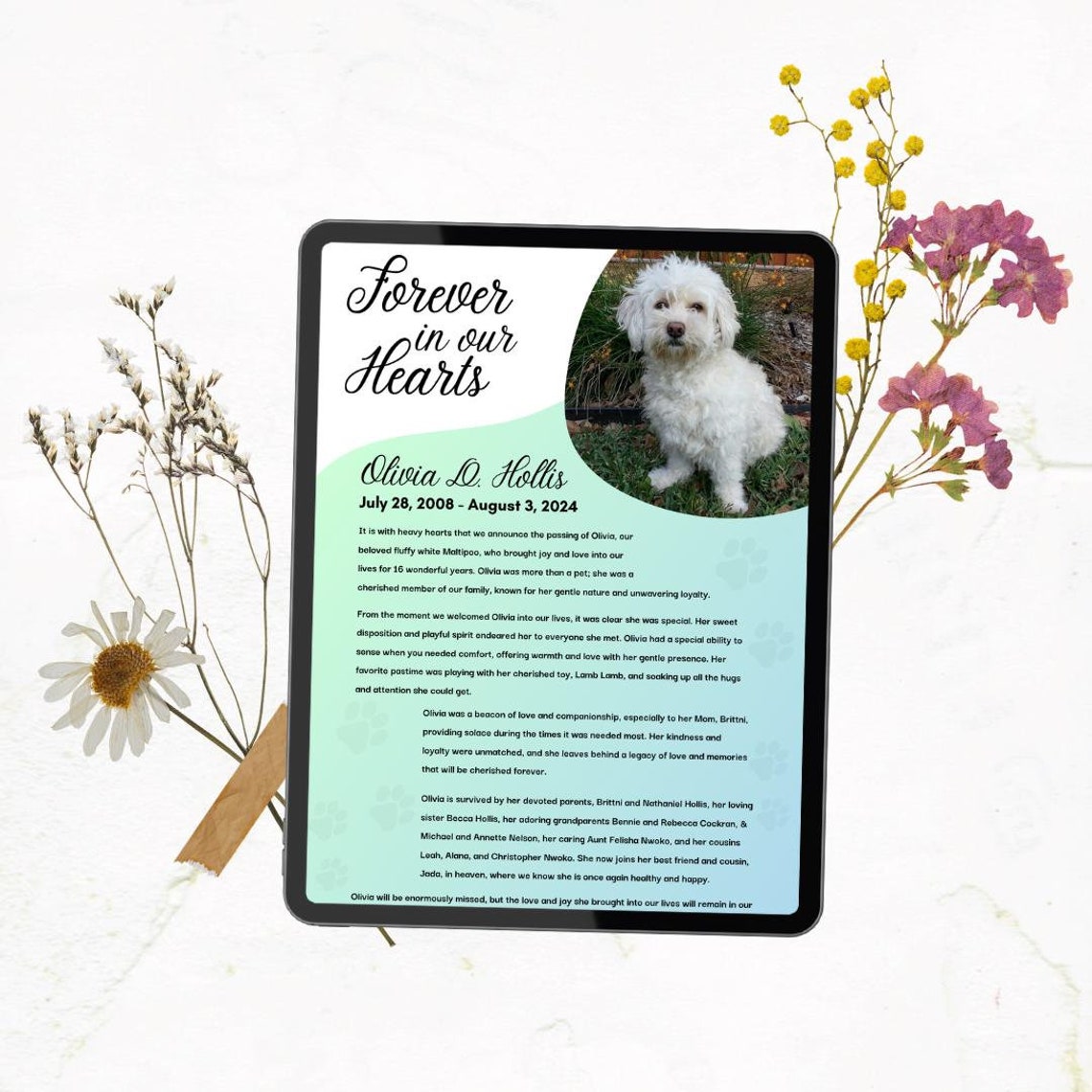 Pet Obituary | Pet Loss Sympathy | Dog Memorial Editable | Instant ...