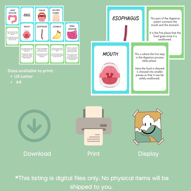 Digestion Flashcards/ Matching Game - Etsy