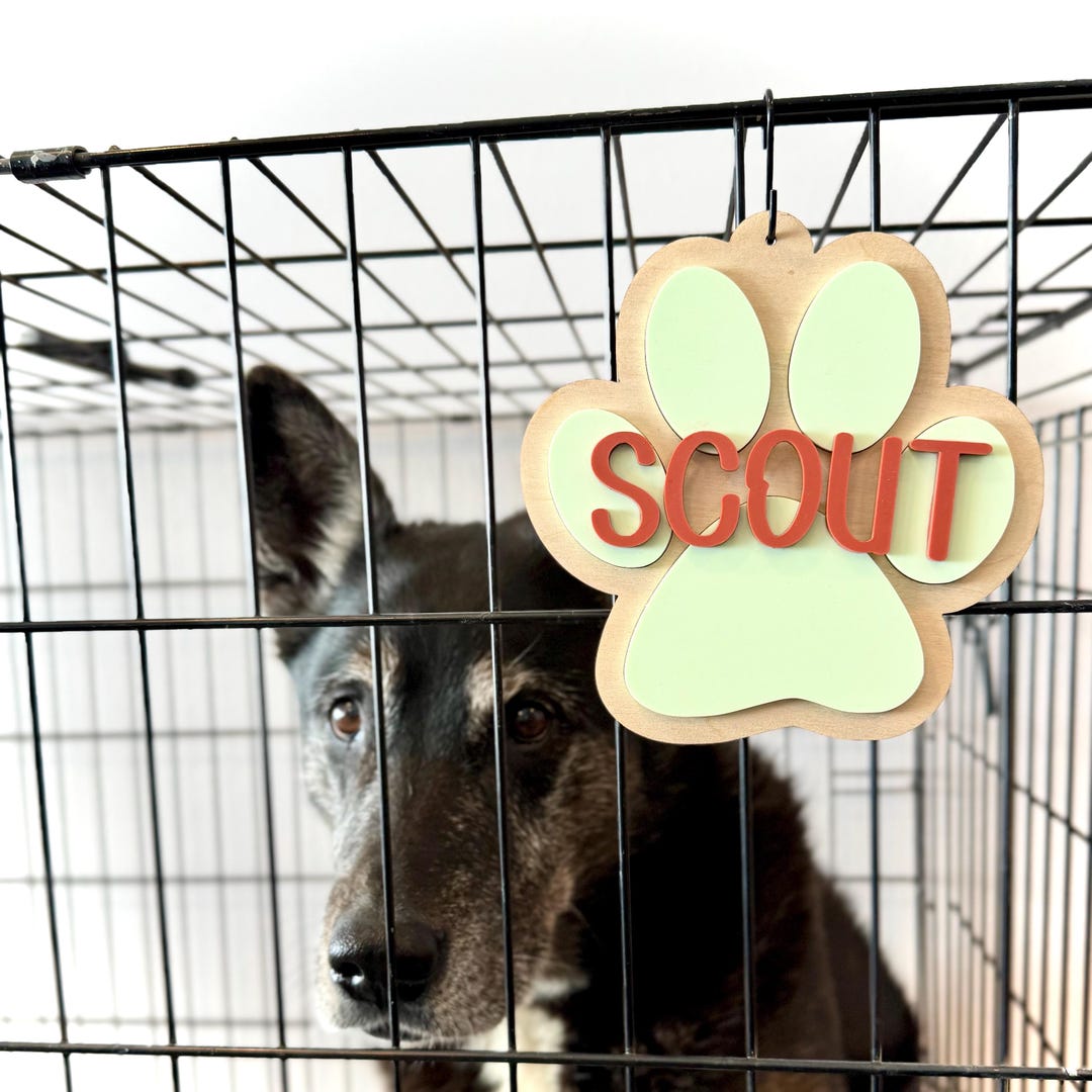 Personalized Dog Crate Name Tag Custom Paw Print-shaped Kennel ...