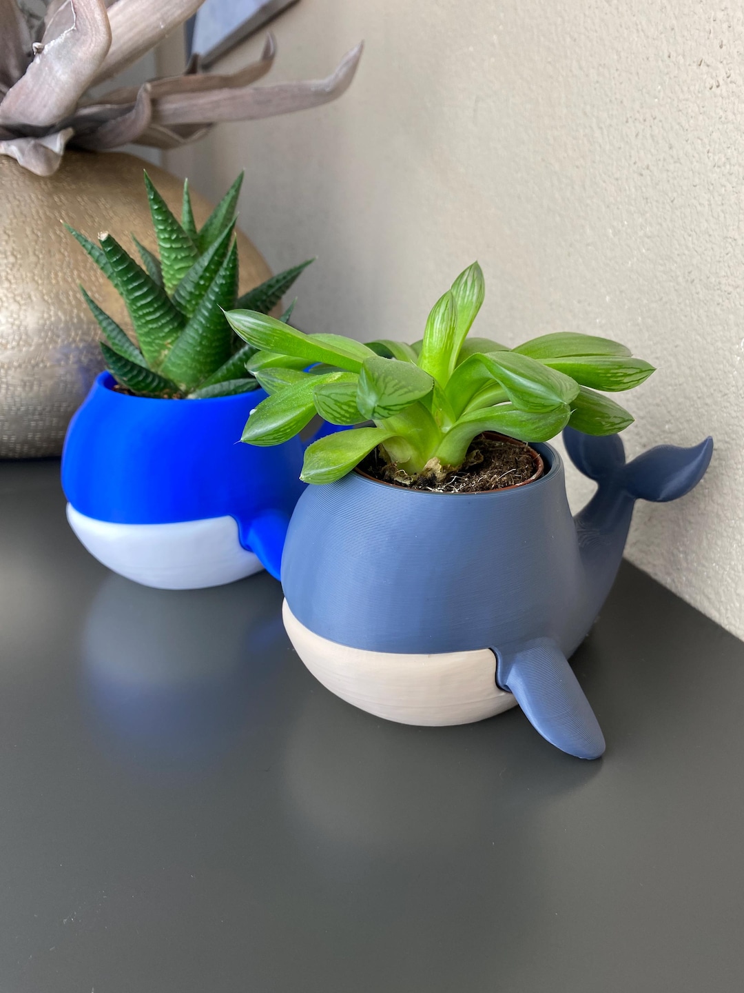 Whale Planter | 3D Printed Whale Pot | Cute Whale Succulent Planter ...