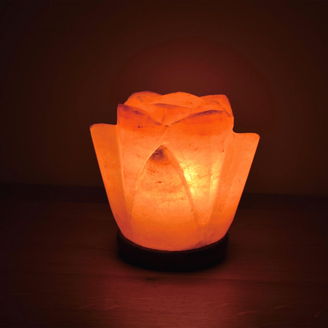 Himalayan Pink Salt Lamp Natural Hand-crafted Crystal Rock Flower Lamp ...