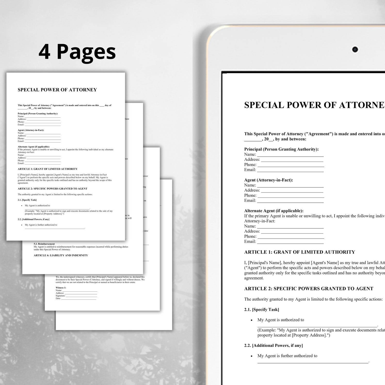 Special Power of Attorney Agreement | Editable PDF, Google Doc, Word ...