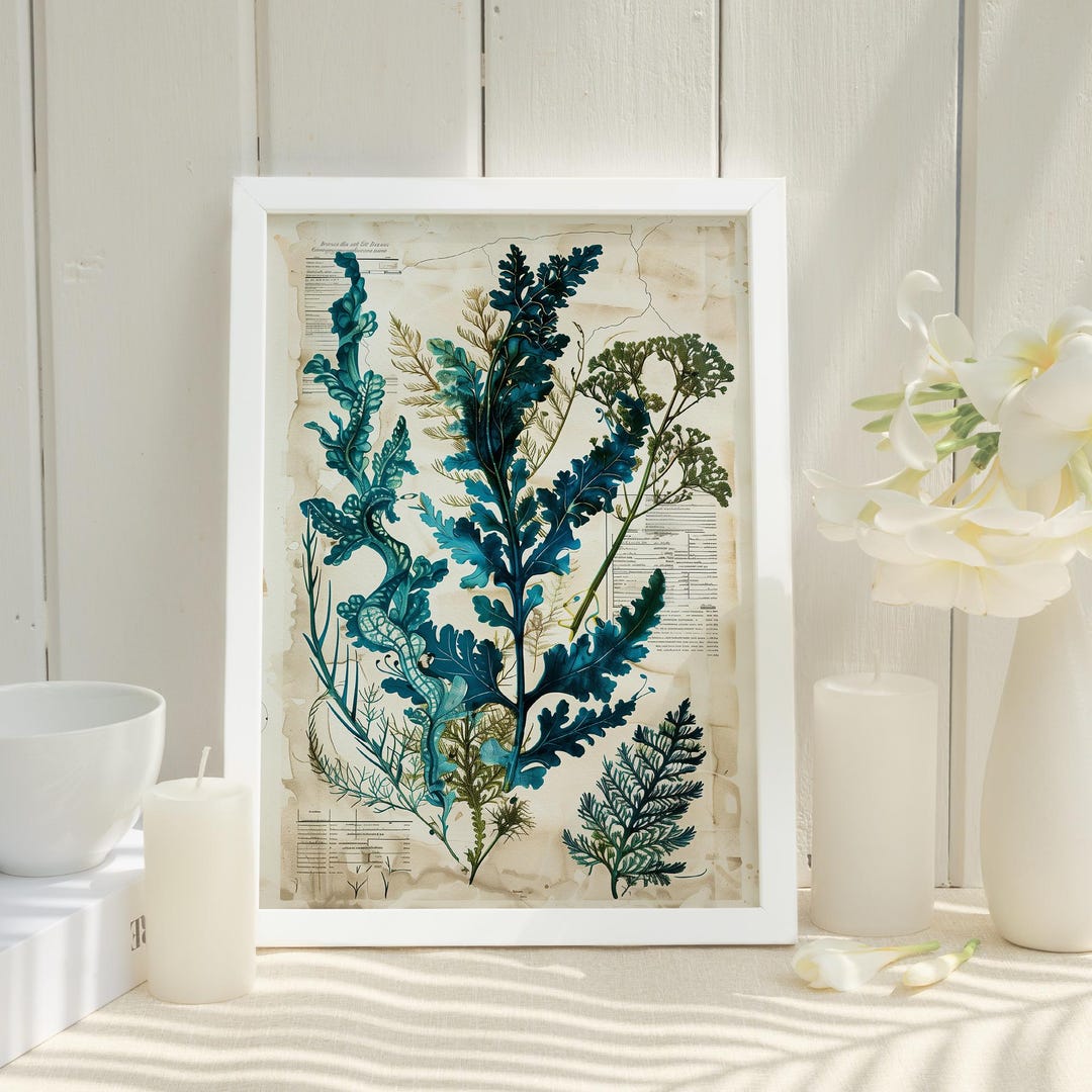 Underwater Art, Seaweed Illustration, Botany Print, Old World Map ...