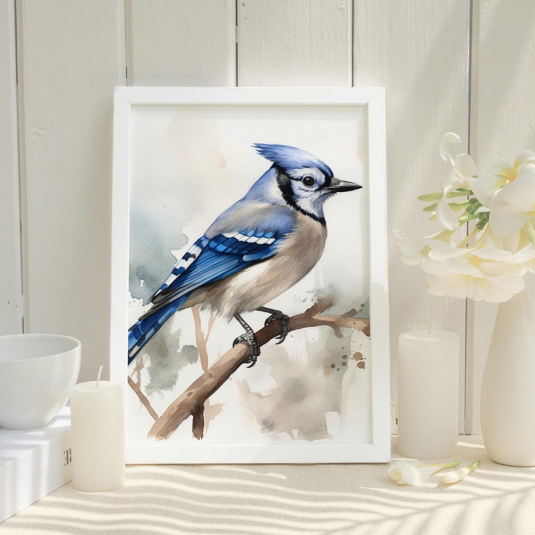 Blue Jay Watercolor Bird Print of Audubon Bird of America Nature ...