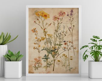 Wildflower Art Antique Botanical Print Vintage Herbarium Book for ...