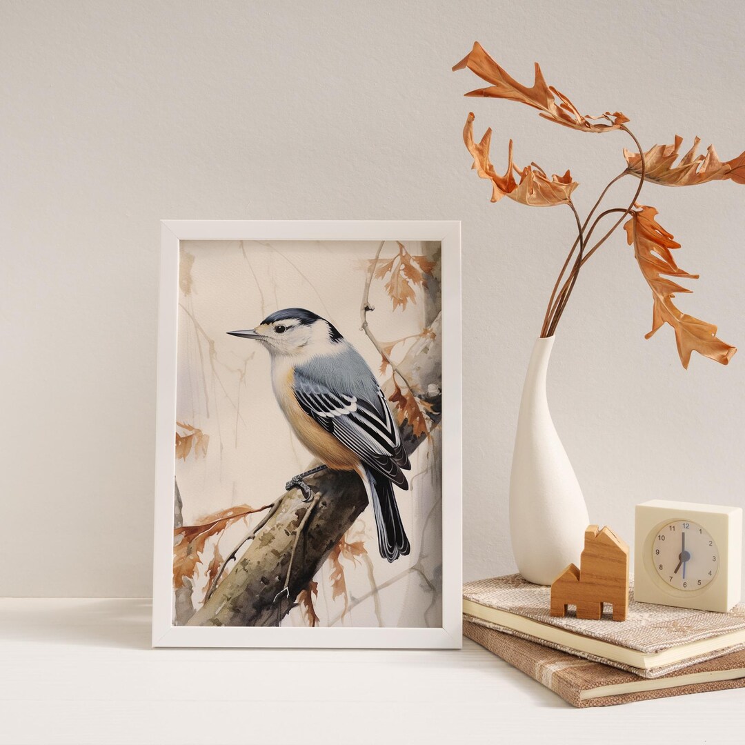 White-breasted Nuthatch Watercolor Bird Print of Audubon Bird of ...