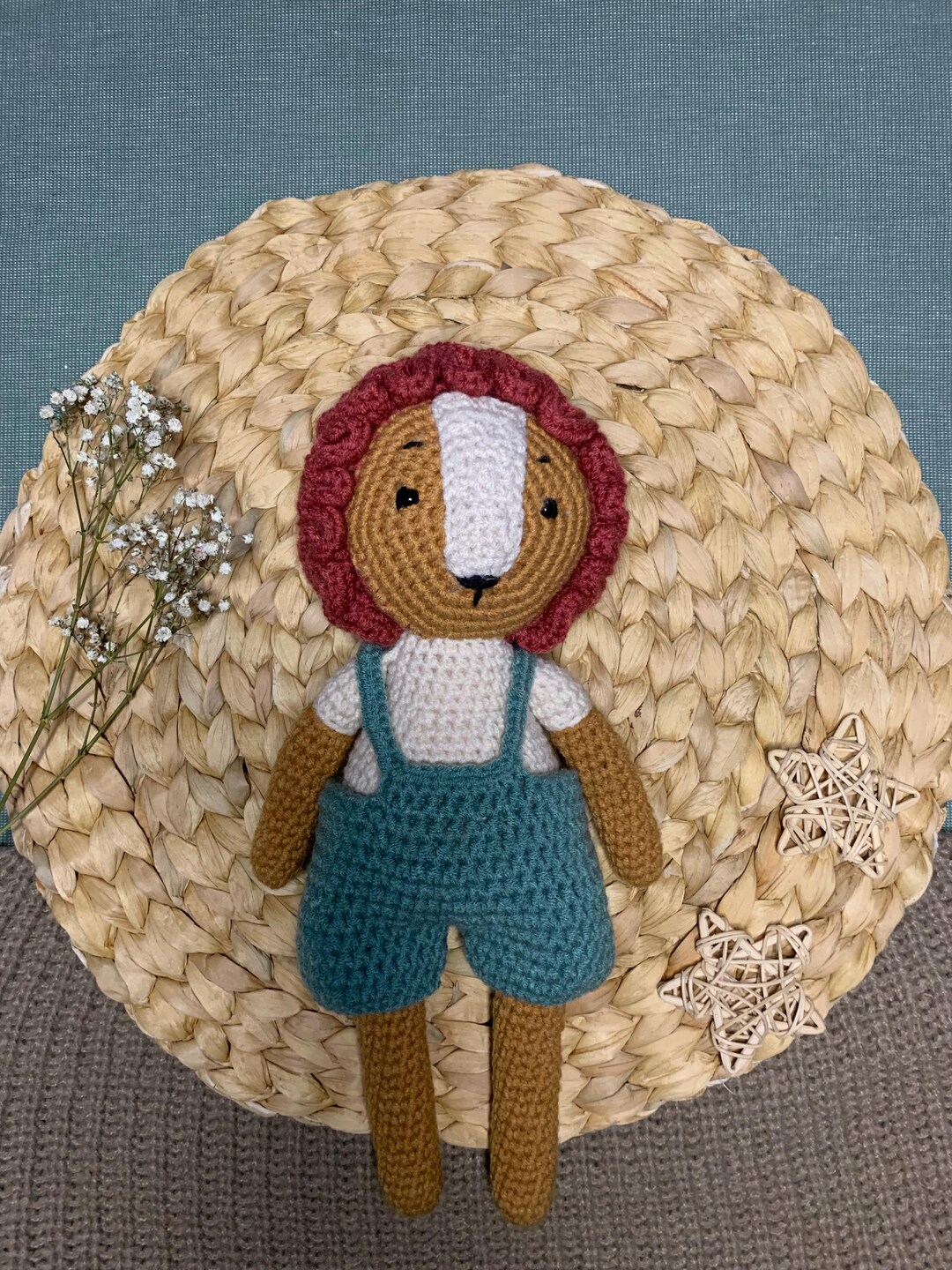 Cute Knitted Lion, Clothes Are Removable From the Toy. Handmade Soft ...