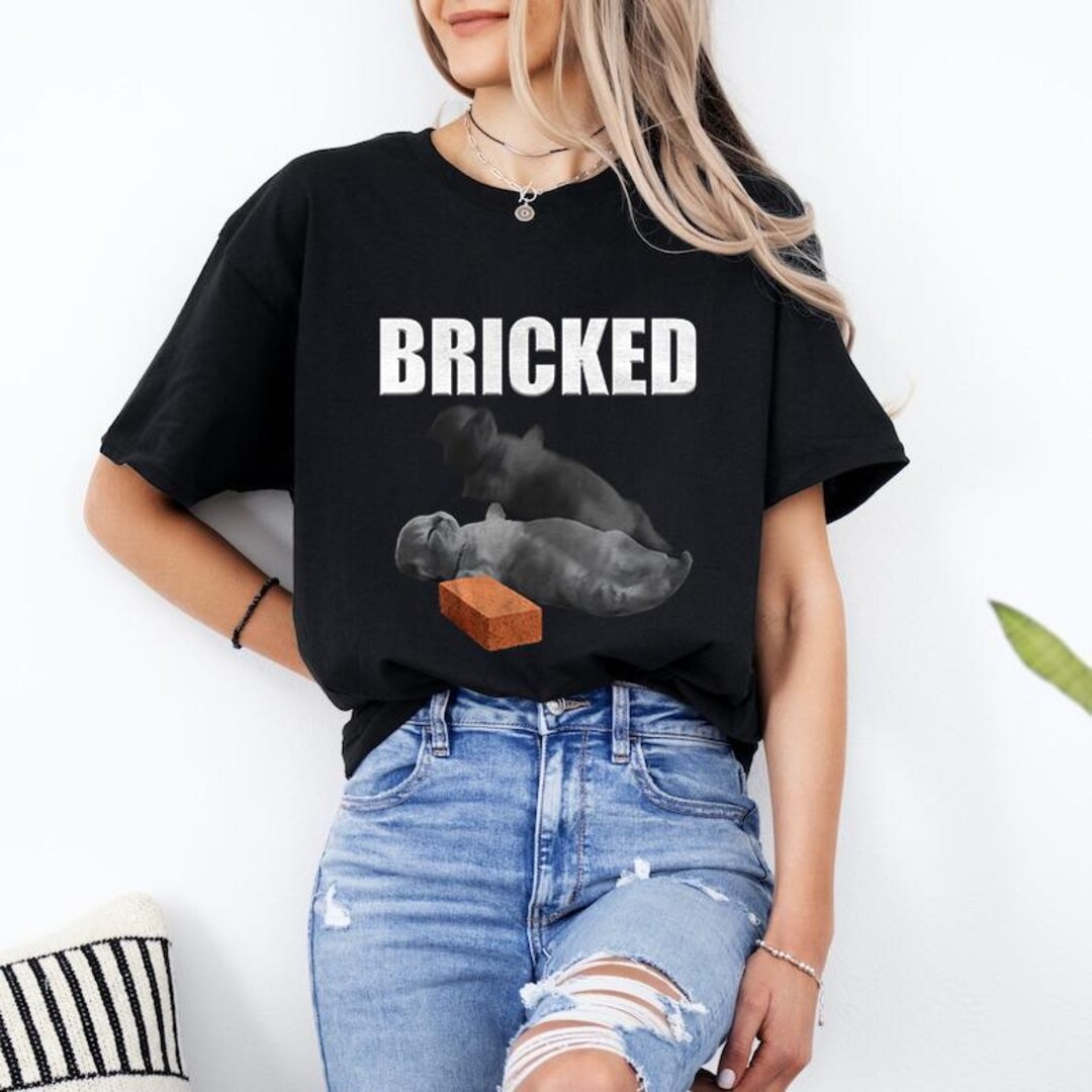 Bricked Graphic Tee, Funny Cat Design With Brick Shirt, Cat Meme Shirt ...