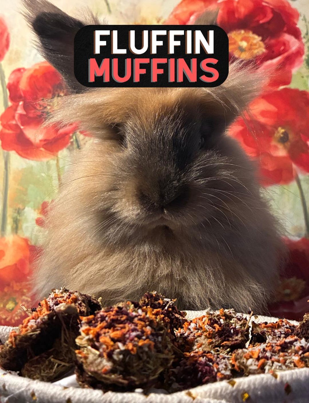 Bunny Muffin Treats – All-natural Rabbit Treats for Rabbits -12 Pack - Etsy