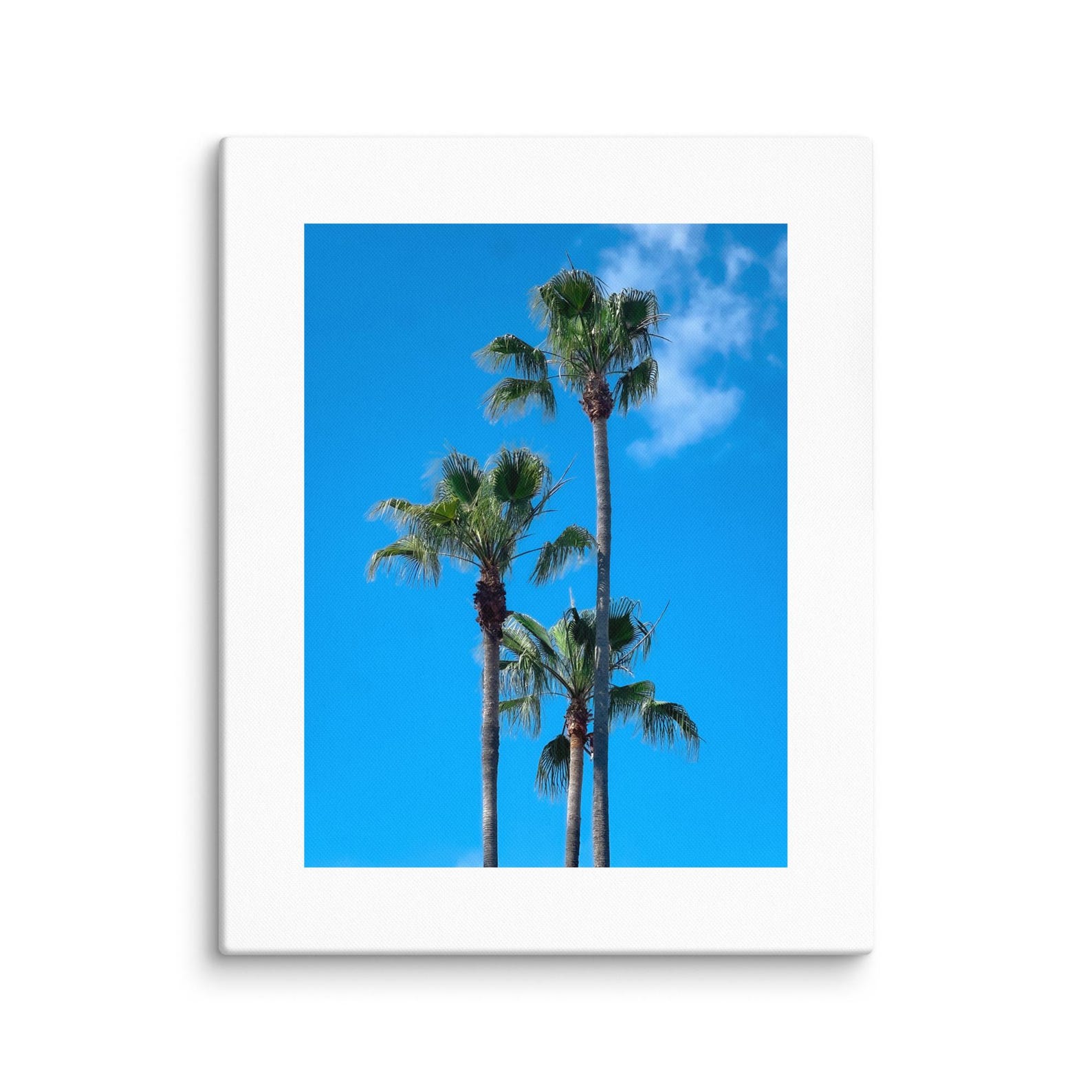 Palm Tree Canvas - Etsy