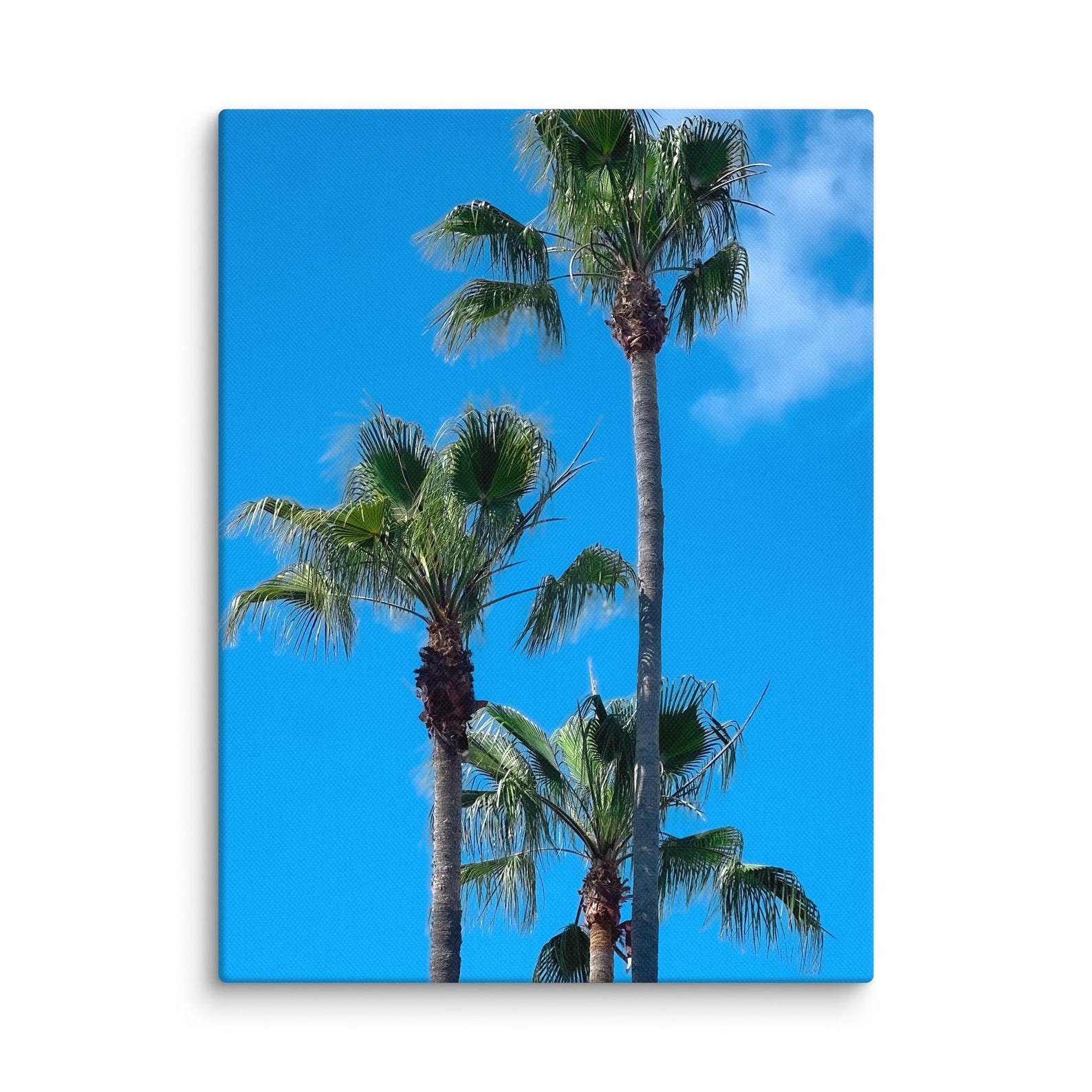 Palm Tree Canvas - Etsy