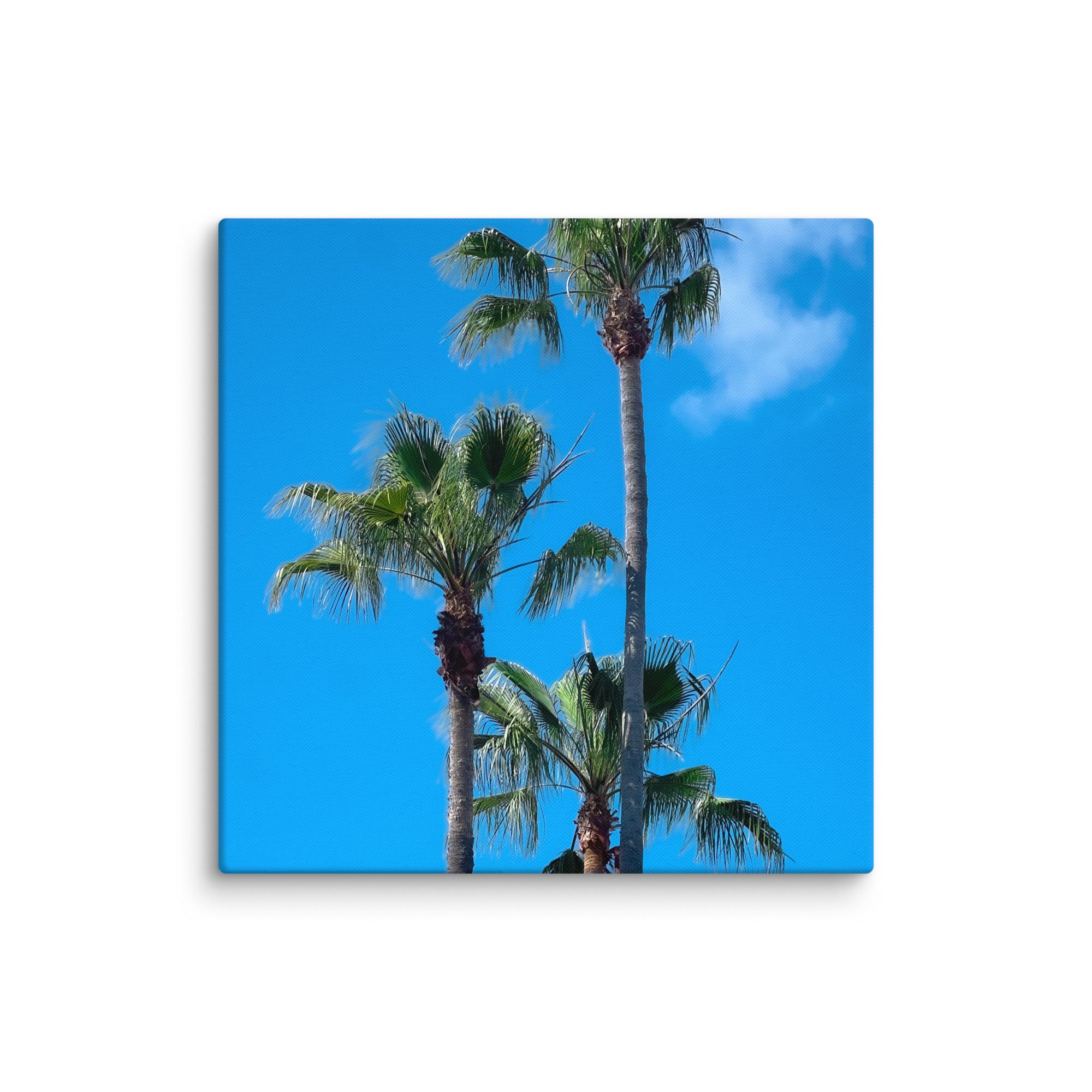 Palm Tree Canvas - Etsy
