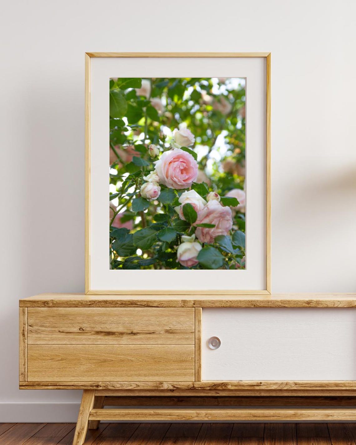 Elegant White Roses Printable Photo - Instant Download - Etsy
