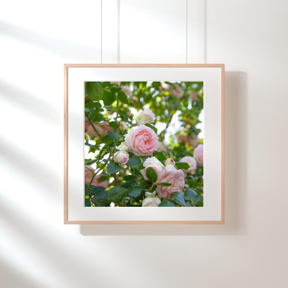 Elegant White Roses Printable Photo - Instant Download - Etsy