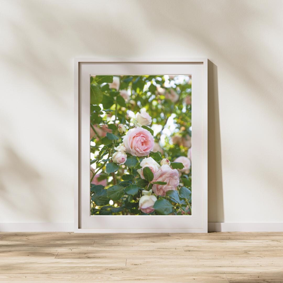 Elegant White Roses Printable Photo - Instant Download - Etsy