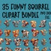 Squirrel Clip Art Bundle Unhinged Squirrels Clipart Bundle 35 PNG T ...