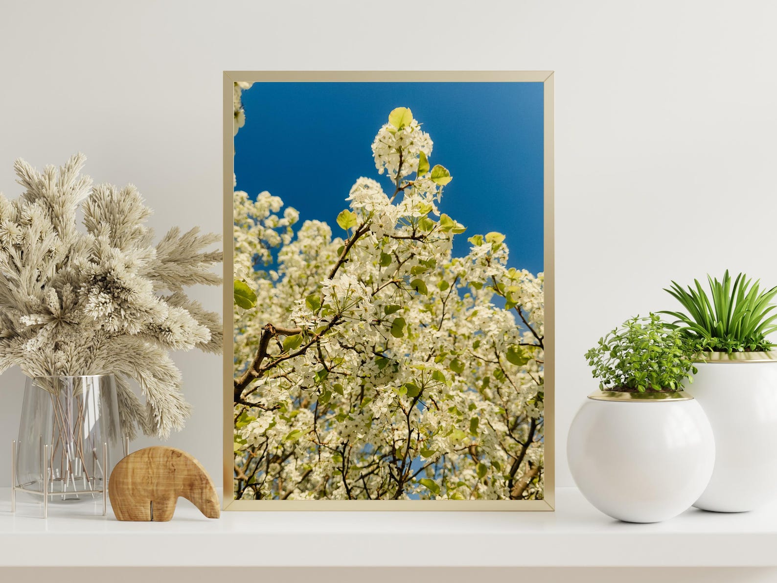 Bradford Pear Tree Photo, Digital Download, Trees Nature, Pear Tree ...