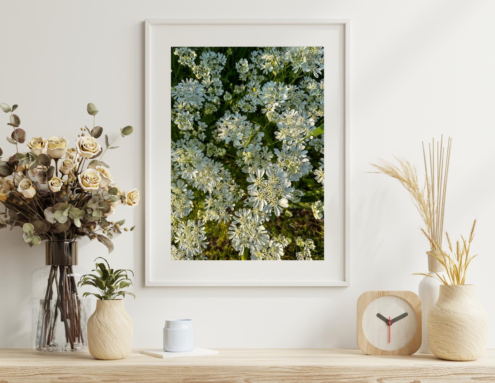 Orlaya White Finch Flower Photo, Digital Download, Orlaya Flower ...