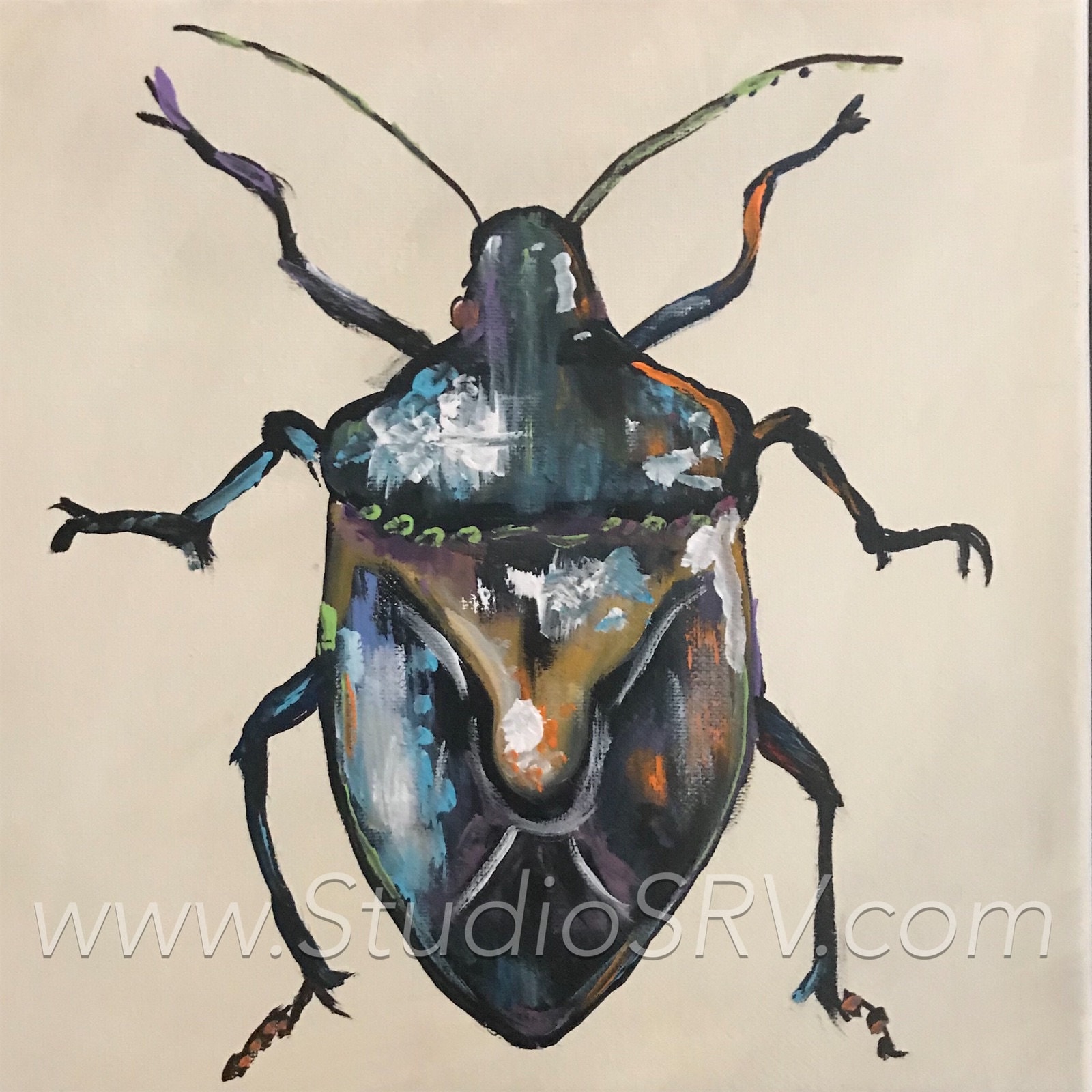 Stink Bug Art Print - Etsy