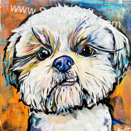 Shih Tzu Art Print From Original Shih Tzu Painting Shih Tzu - Etsy