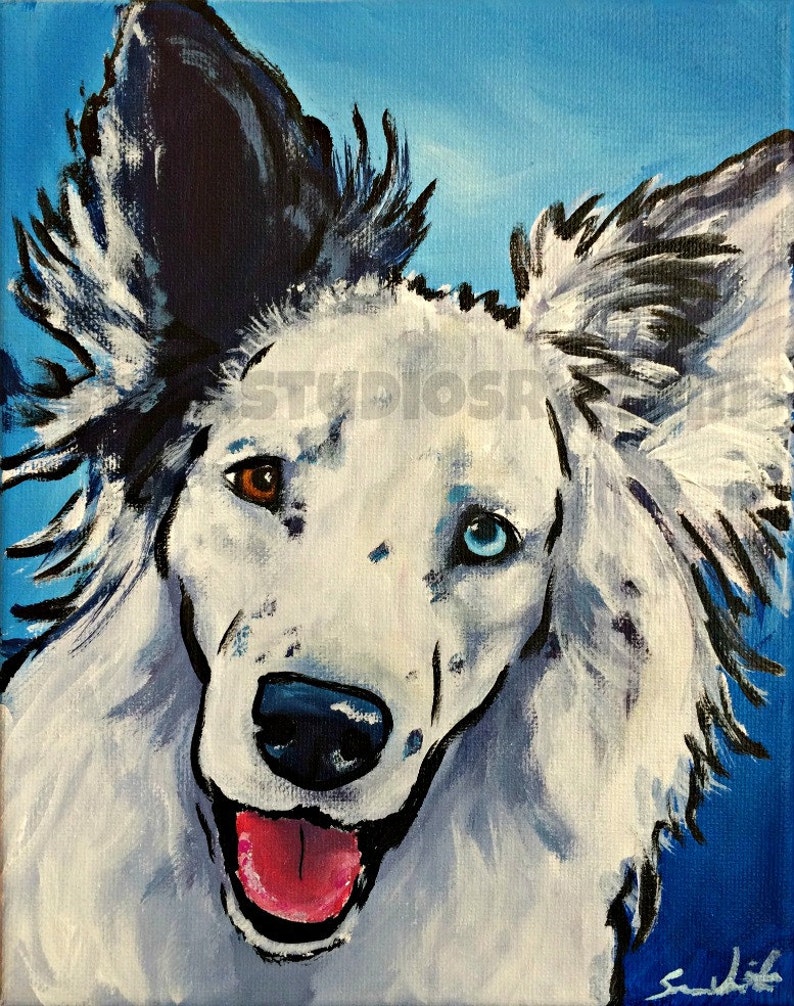 Border Collie print 11x14 | Etsy